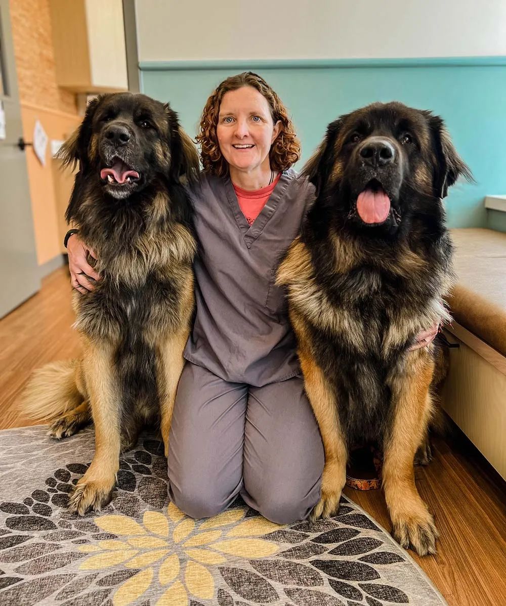 Dr. Jen O’Keefe - Arlington Vet – Urgent Animal Care of Arlington